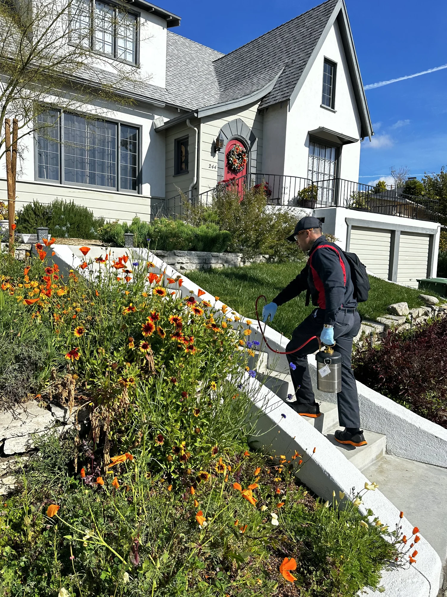 General Pest Control — Rumble Fish Pest Control