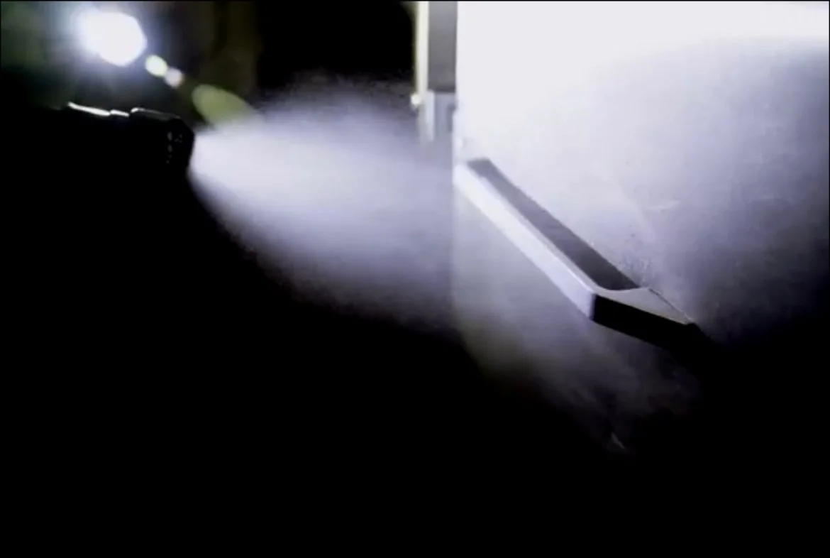 Rumble Fish Pest Control