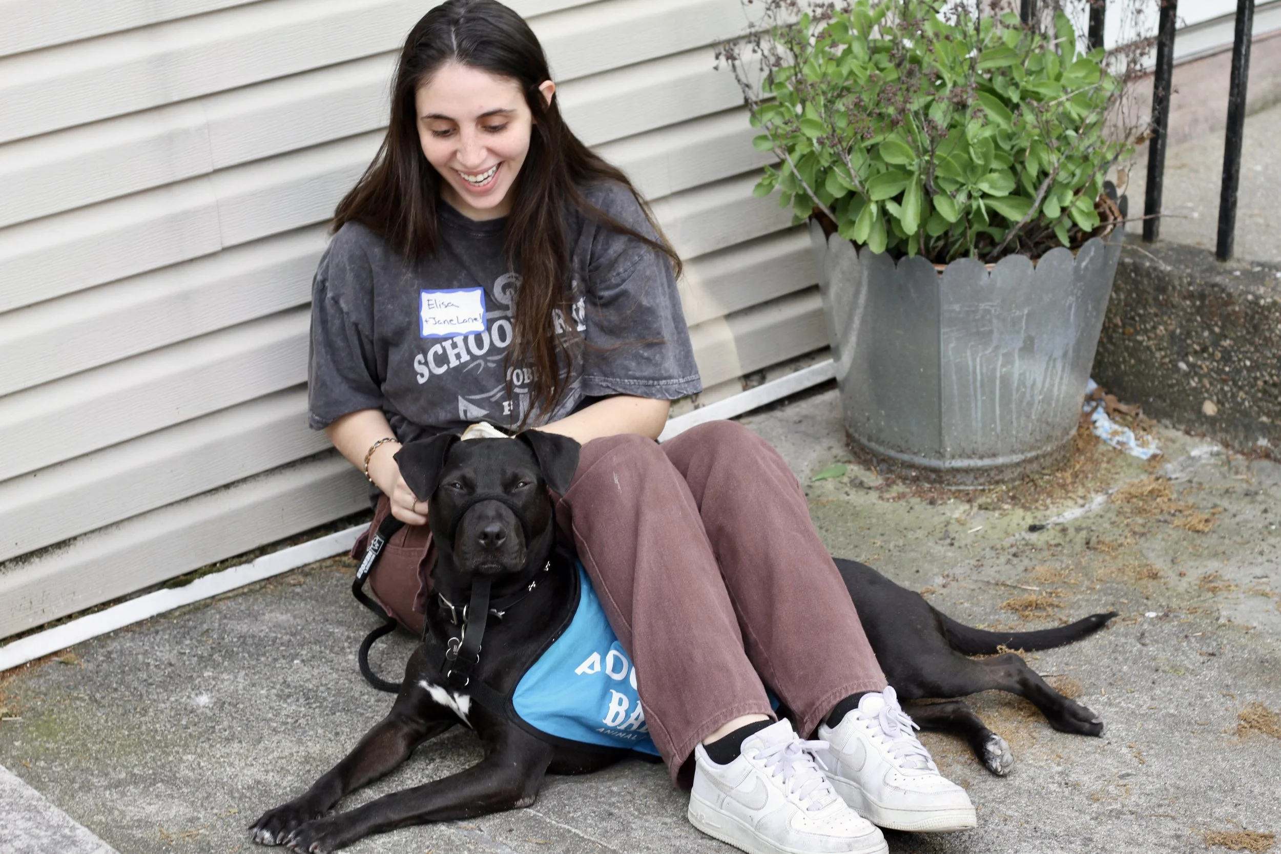 Volunteer — Badass Animal Rescue
