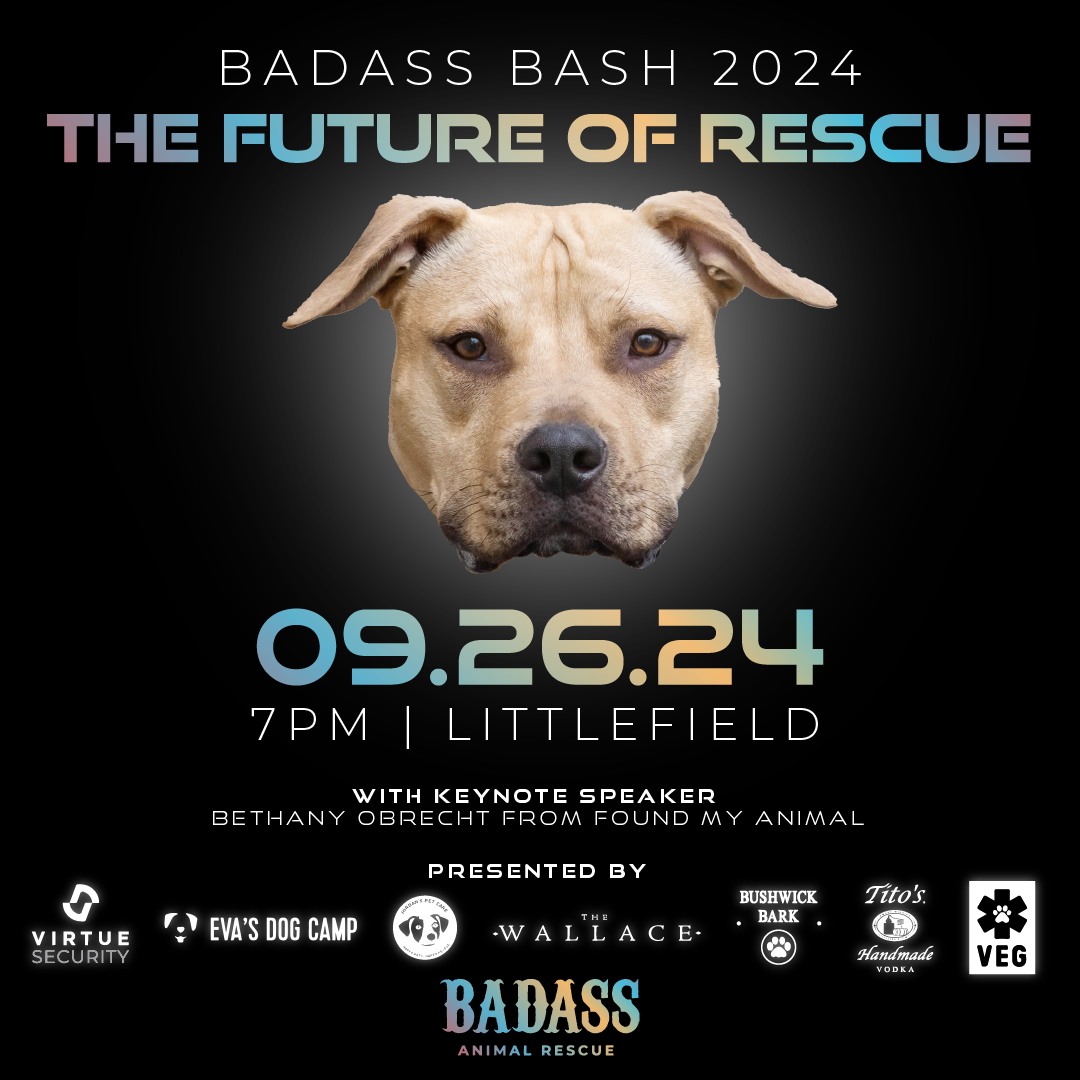 10 Reasons Dog Lovers Should Experience Badass Bash 2024 — Badass ...