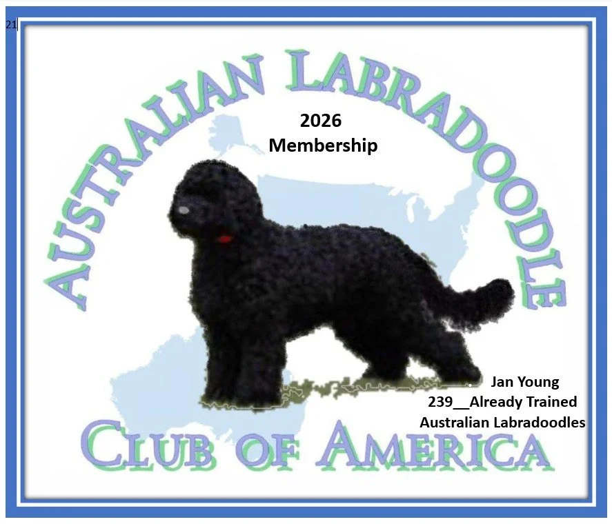 Home — Already Trained Australian Labradoodles