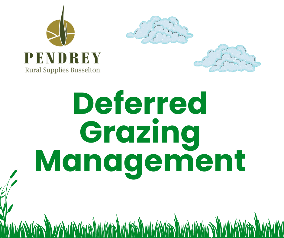 Pendrey Rural Supplies - City of Busselton's Agriculture & Garden ...