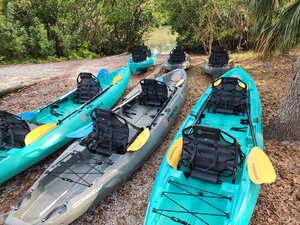 Capt Yak - Kayak Tours & Rentals -Veteran Owned - St Pete Area