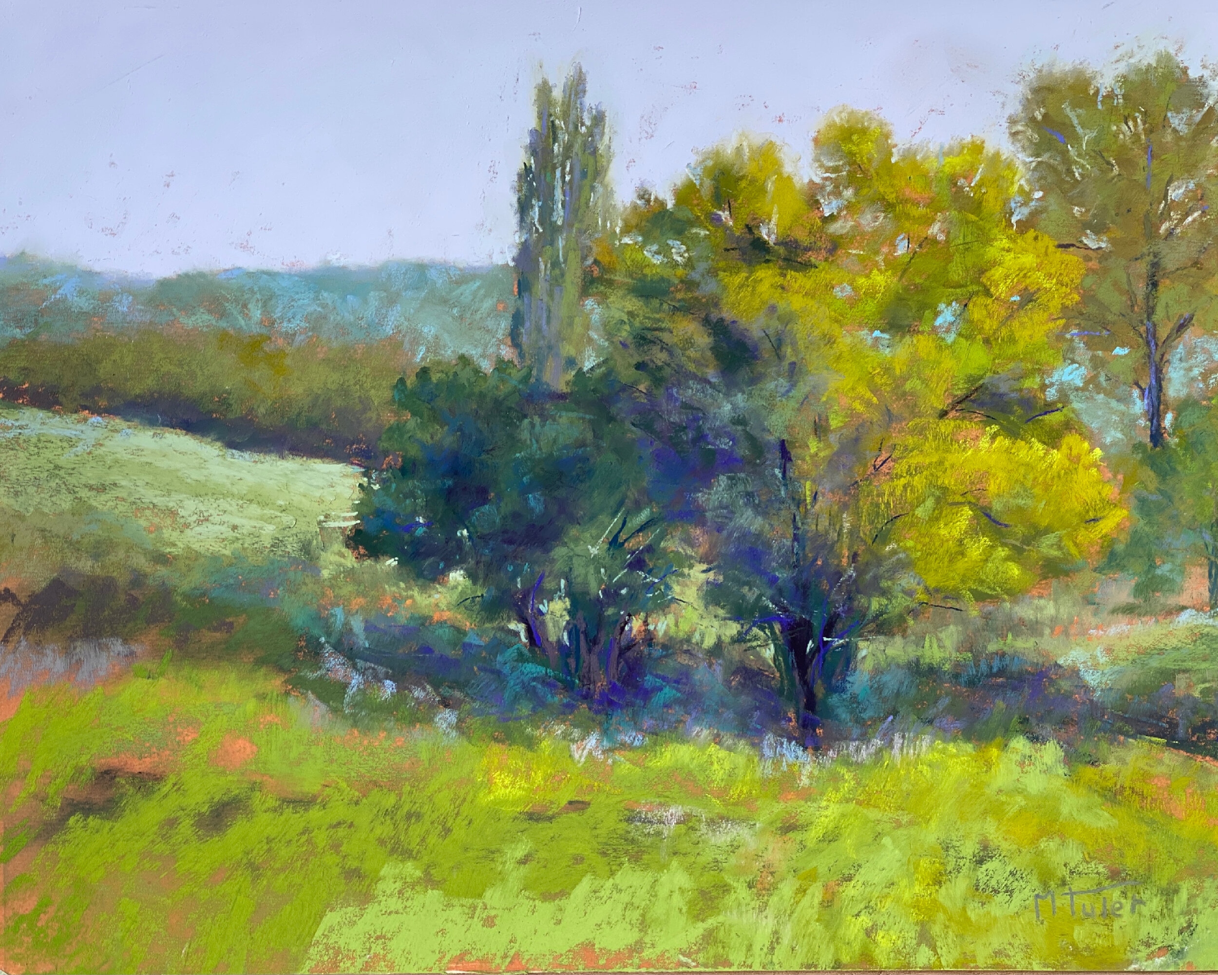 portfolio — Martine Tulet Fine Art