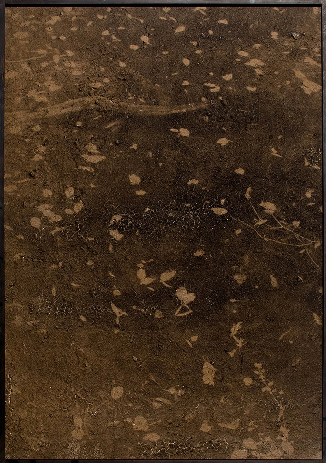 LUCAS LEFFLER EN — CONTRETYPE