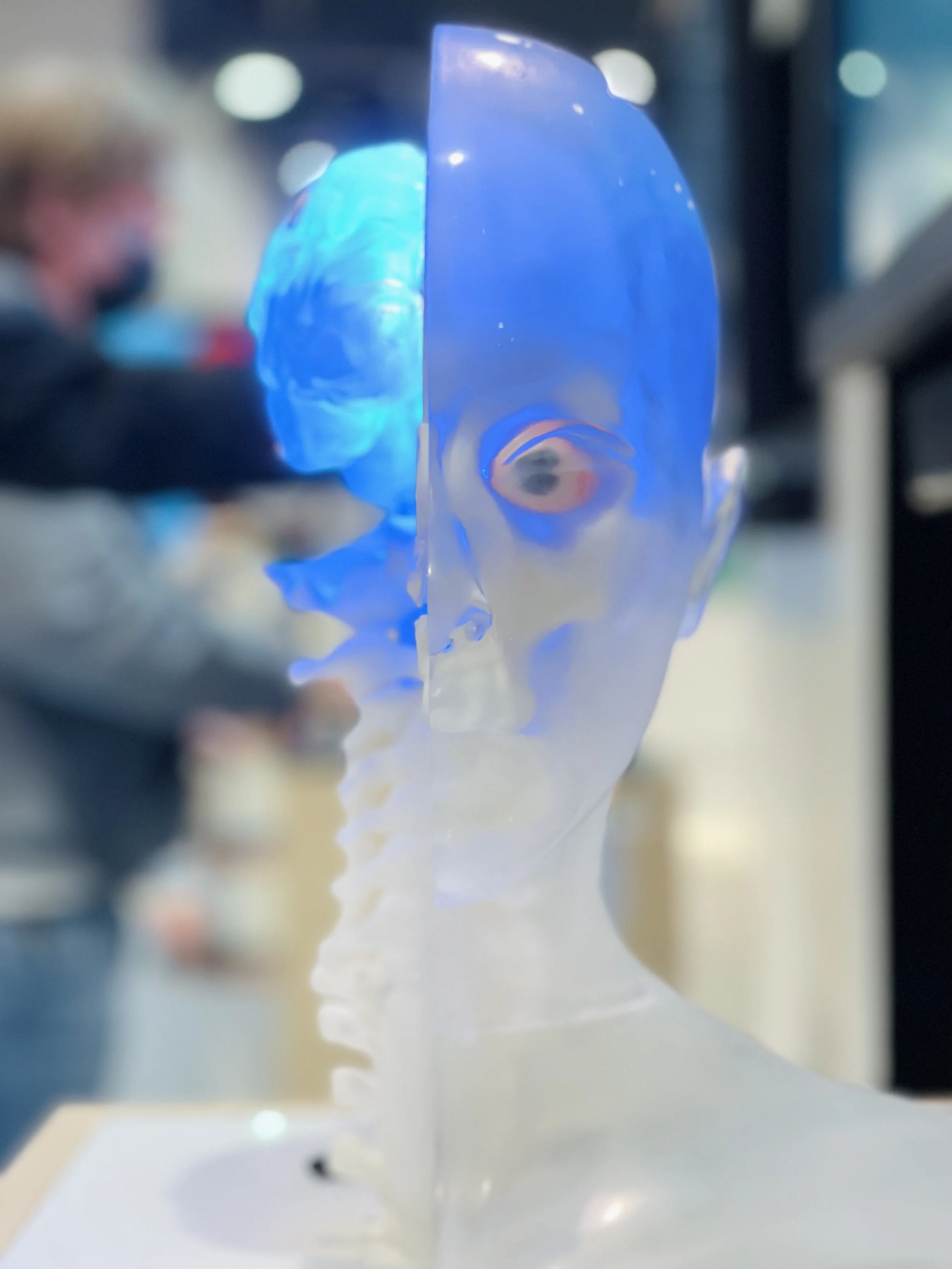 Dassault Systèmes — Taylor