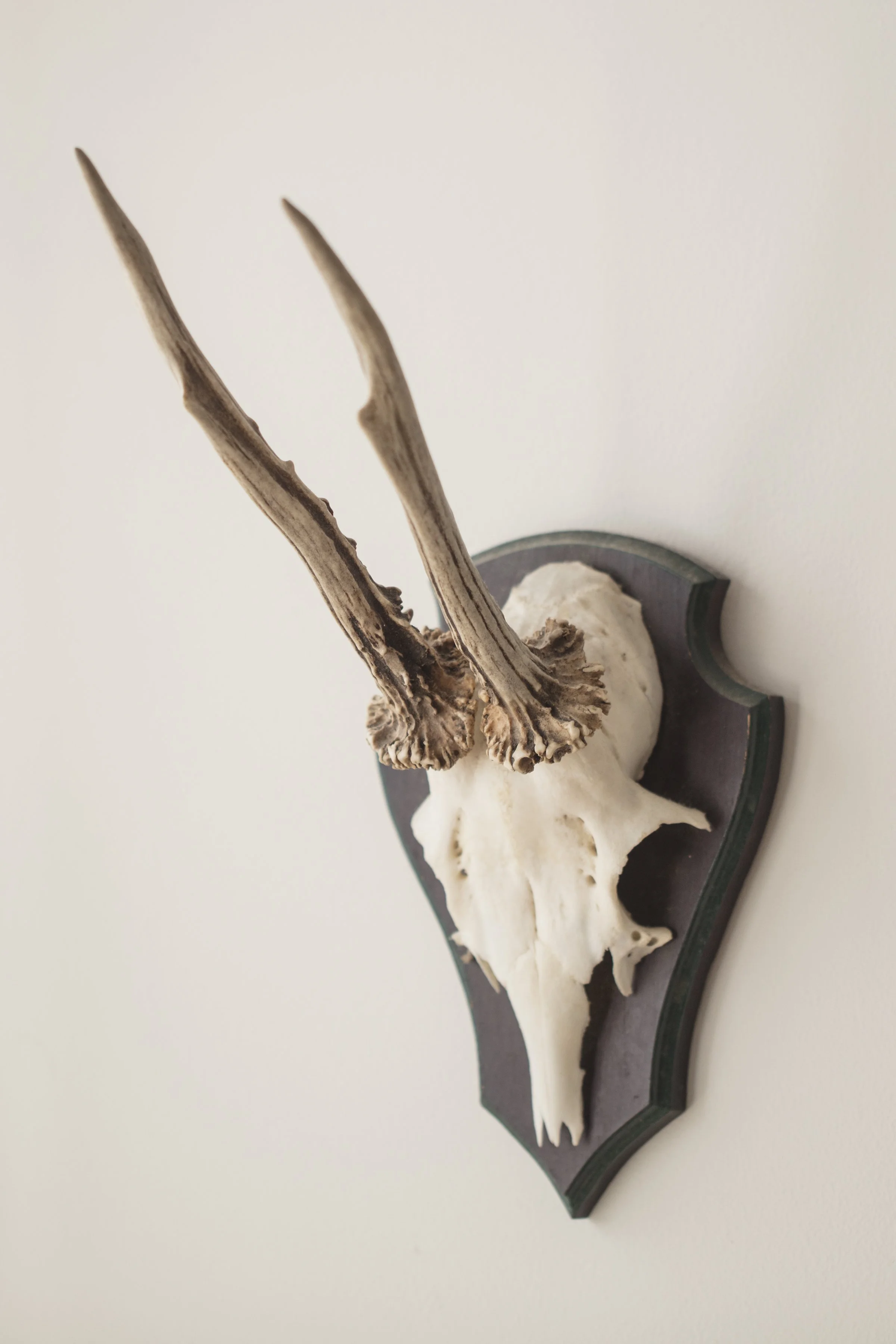 Zoe Willis Design - | London Interior Design