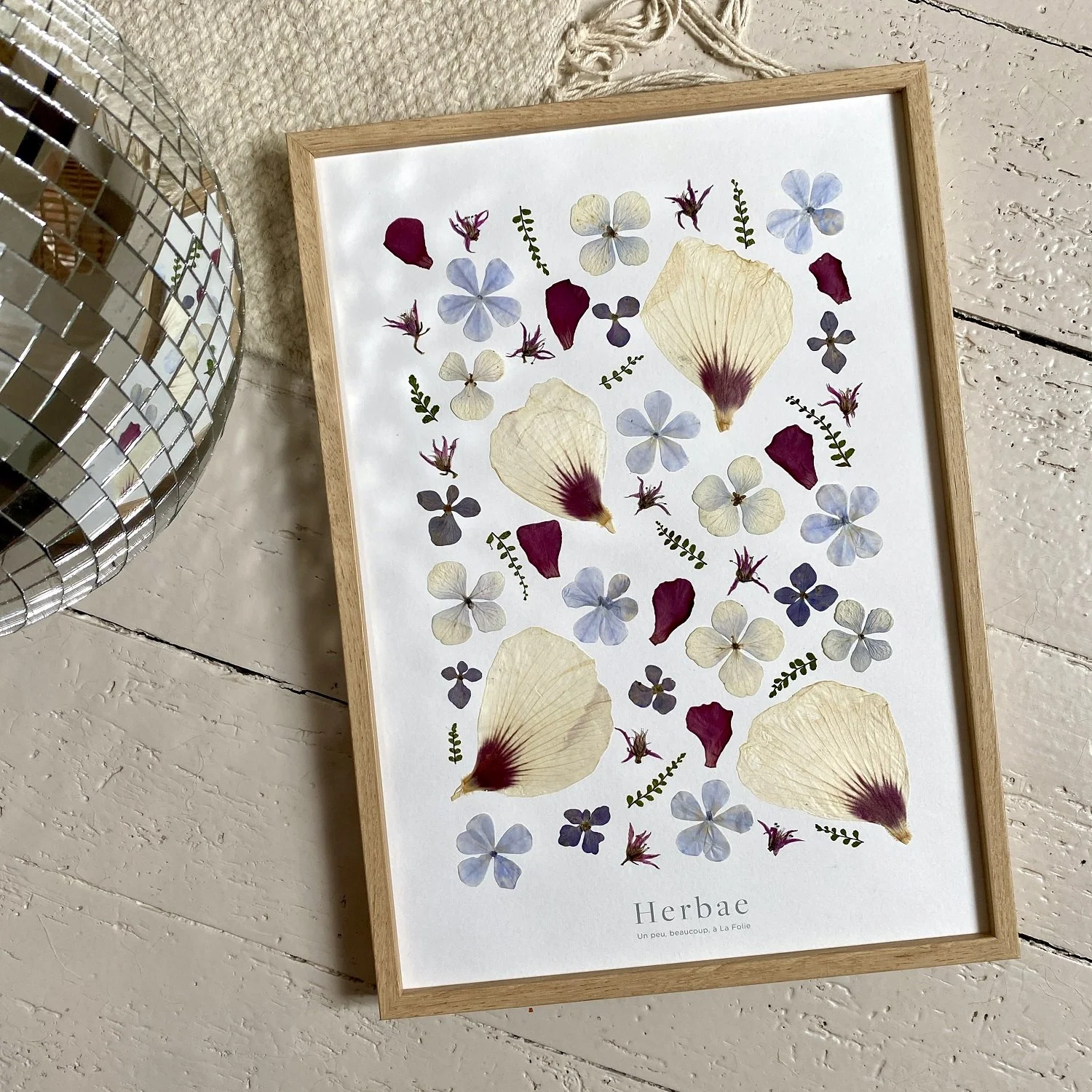 À propos — Herbae