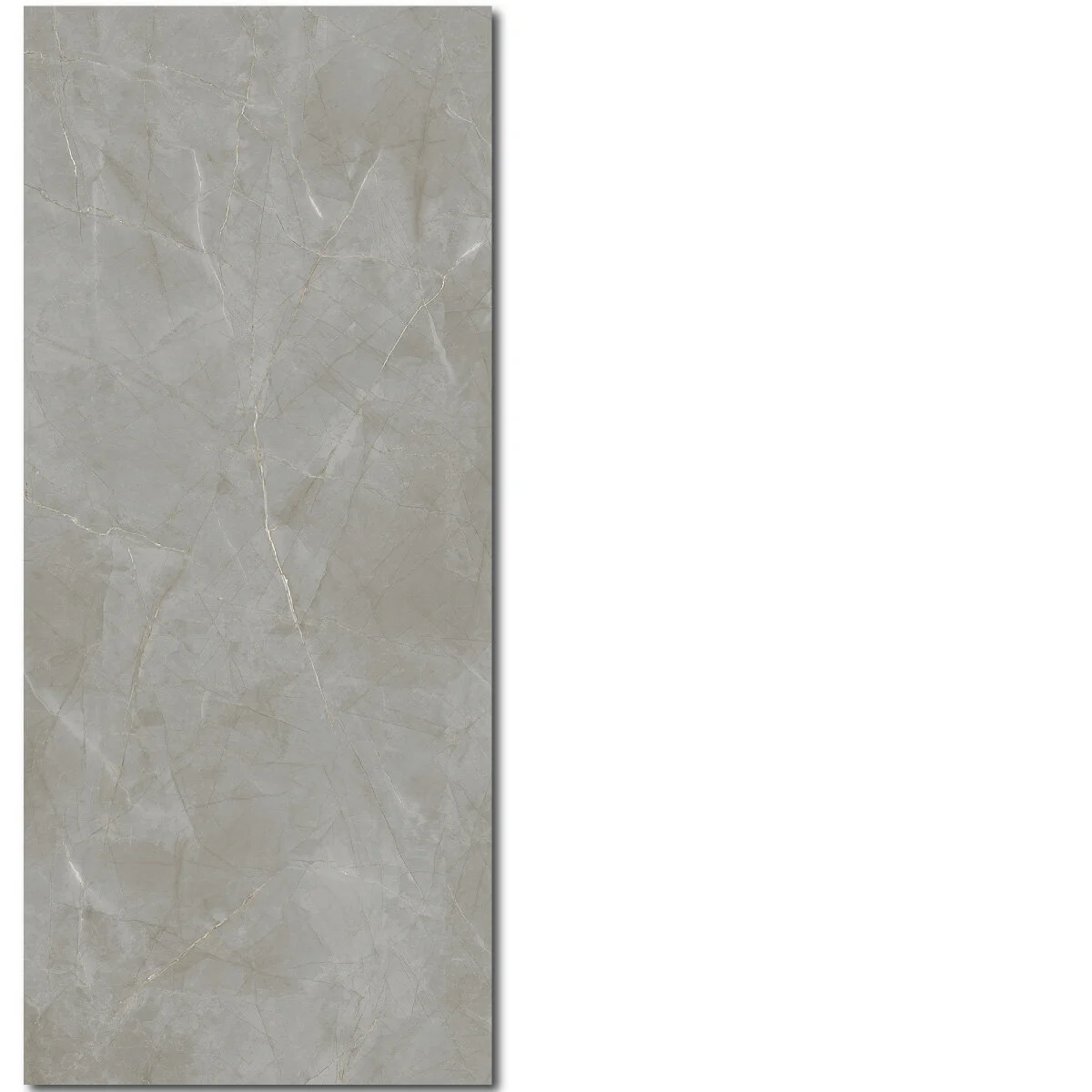 Jewel Porcelain Slab Raymi Polished — Julian Tile