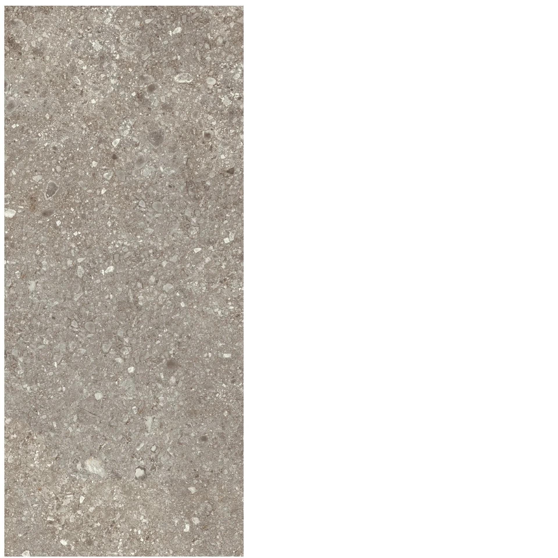 Norr Slabs — Julian Tile