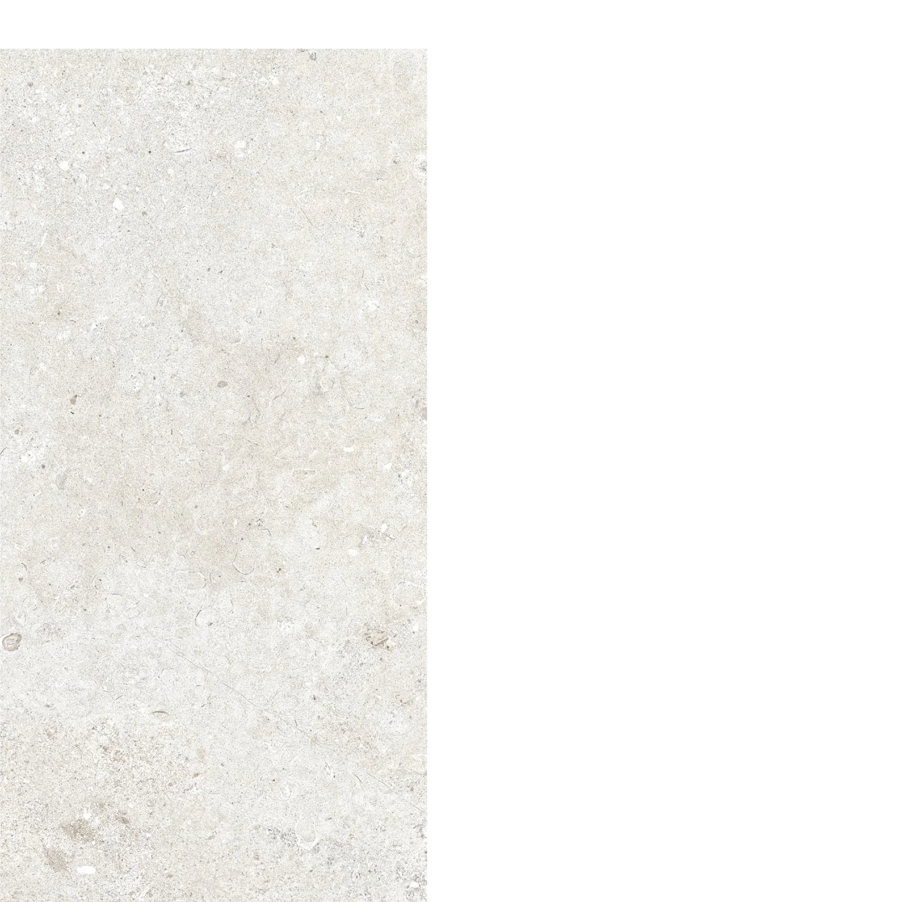 Signature Stone White 12" x 24" floor and wall tile — Julian Tile