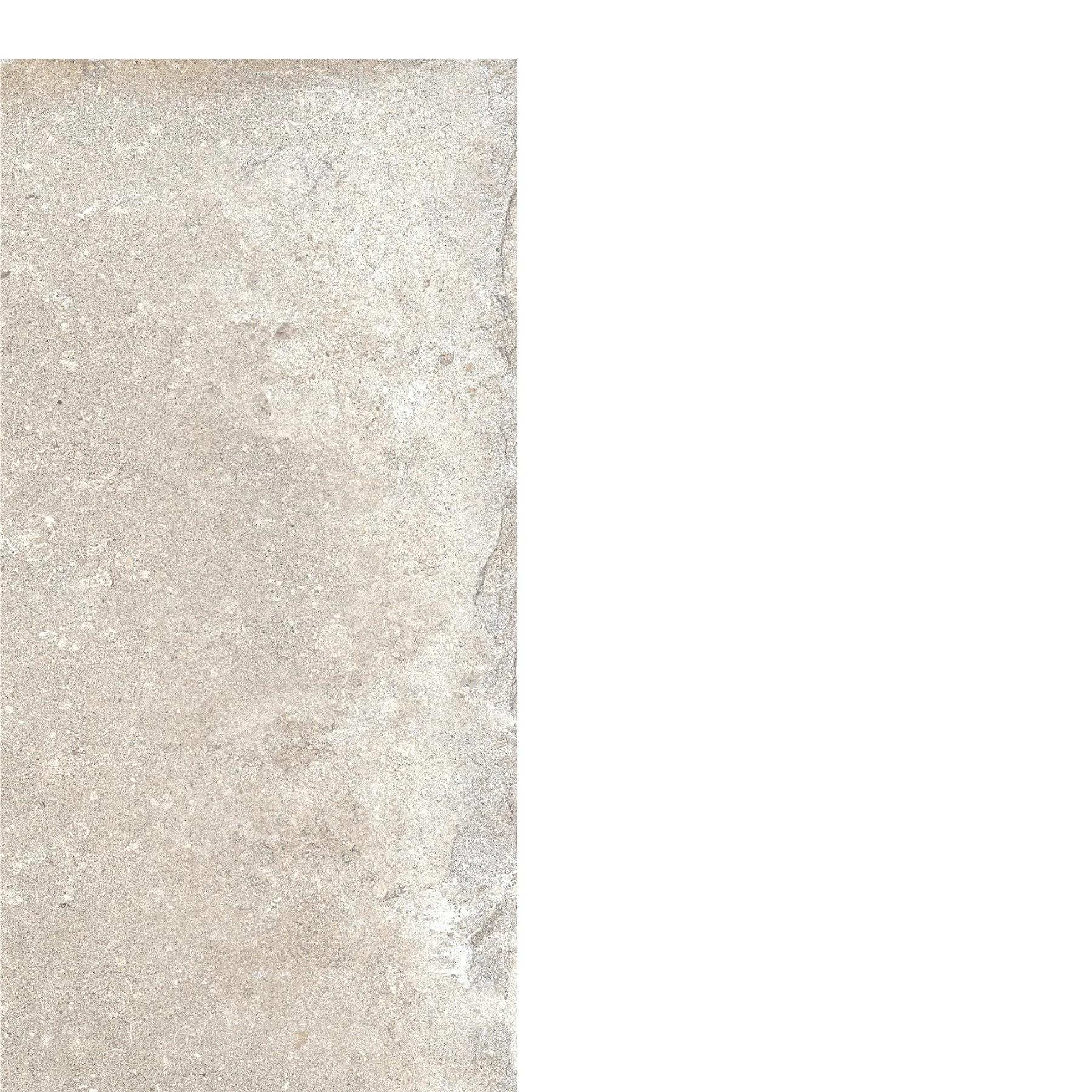 Signature Stone Beige 12" x 24" tile — Julian Tile