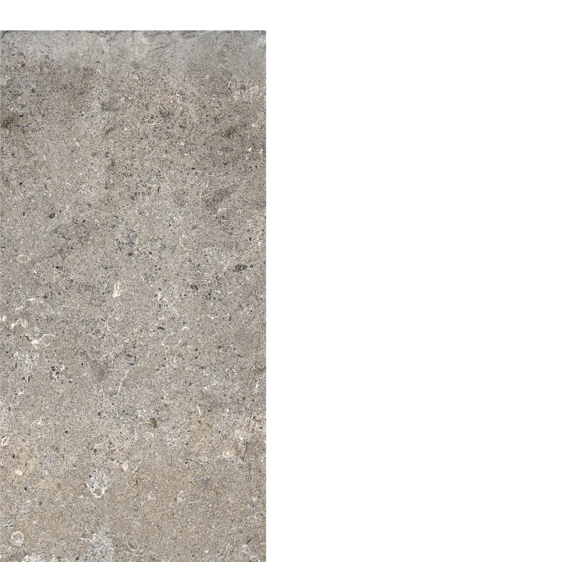 Norr — Julian Tile