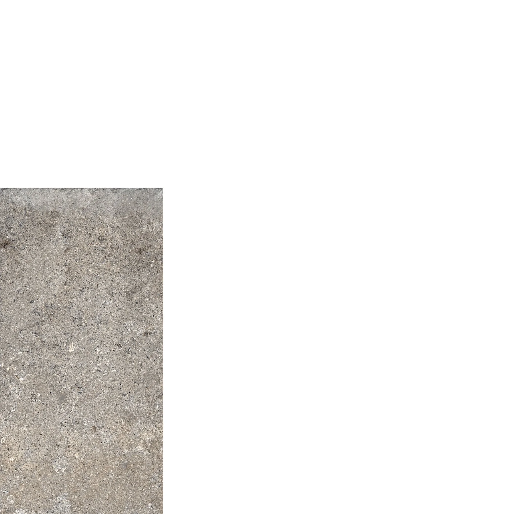 Signature Stone White floor and wall tile — Julian Tile