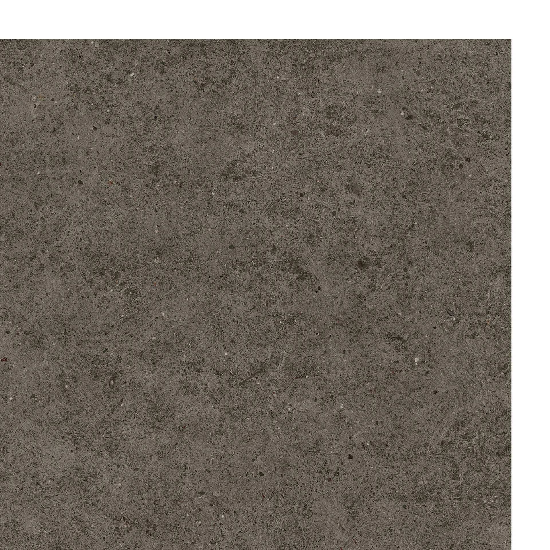 Unique Infinity Slab Cobblestone Grey — Julian Tile