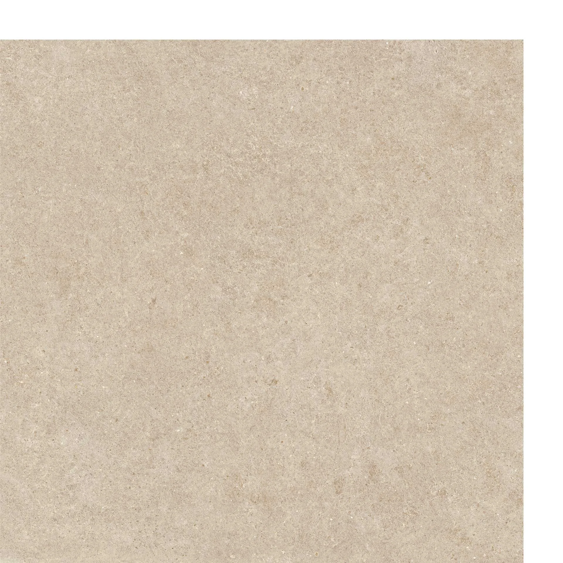 Signature Stone Dark Grey 36" x 36" floor tile — Julian Tile