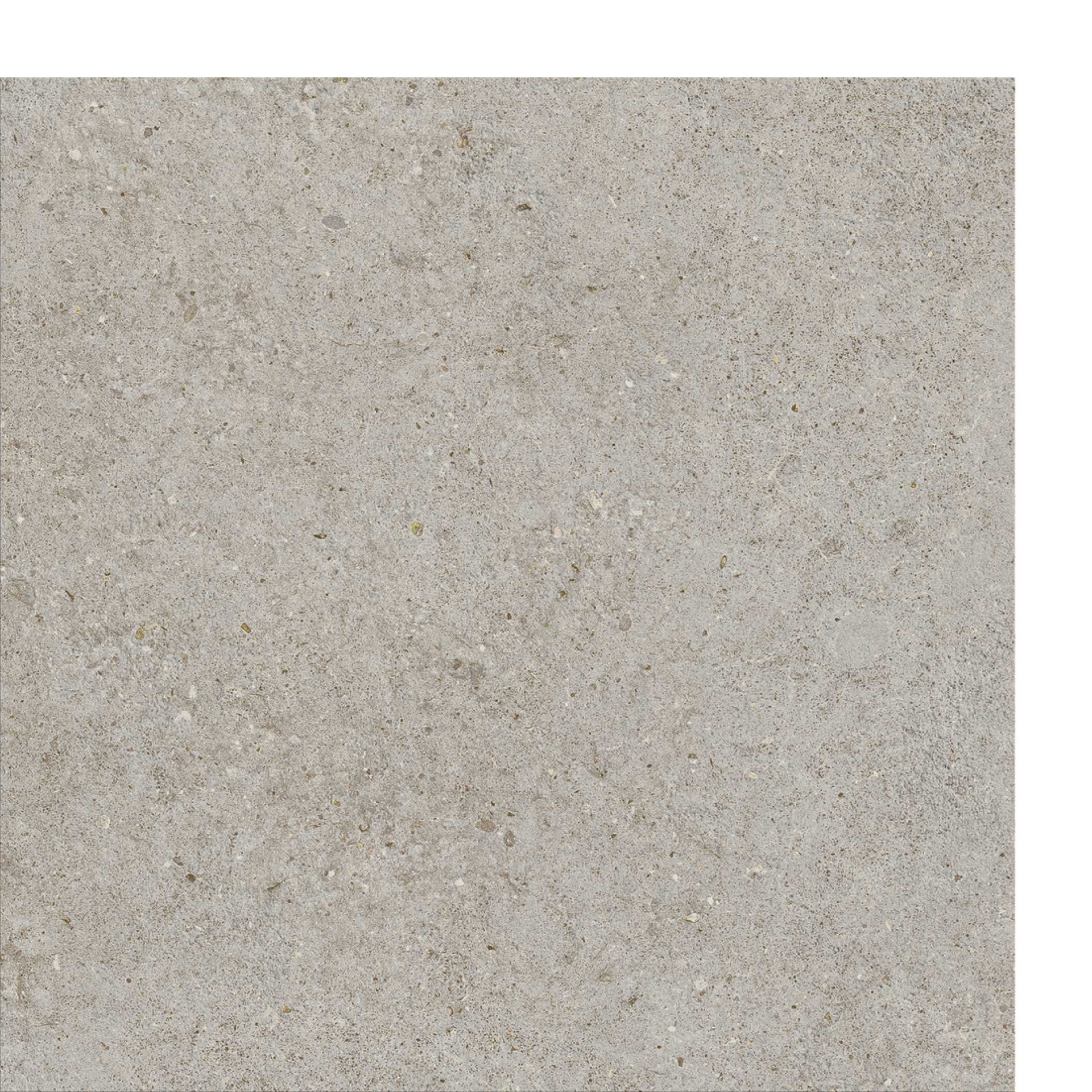 Boost Stone Floor Wall Porcelain Tile From Italy — Julian Tile