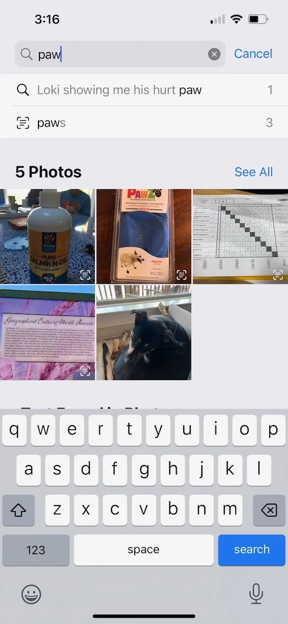 Adding Captions to iPhone Photos with Your Voice! — Arrange Wander Focus