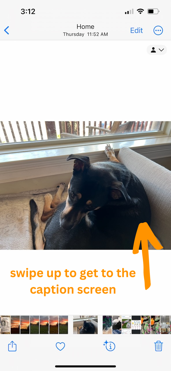 Adding Captions to iPhone Photos with Your Voice! — Arrange Wander Focus
