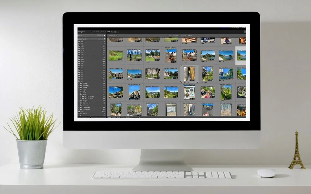 Professional Photo Organizer