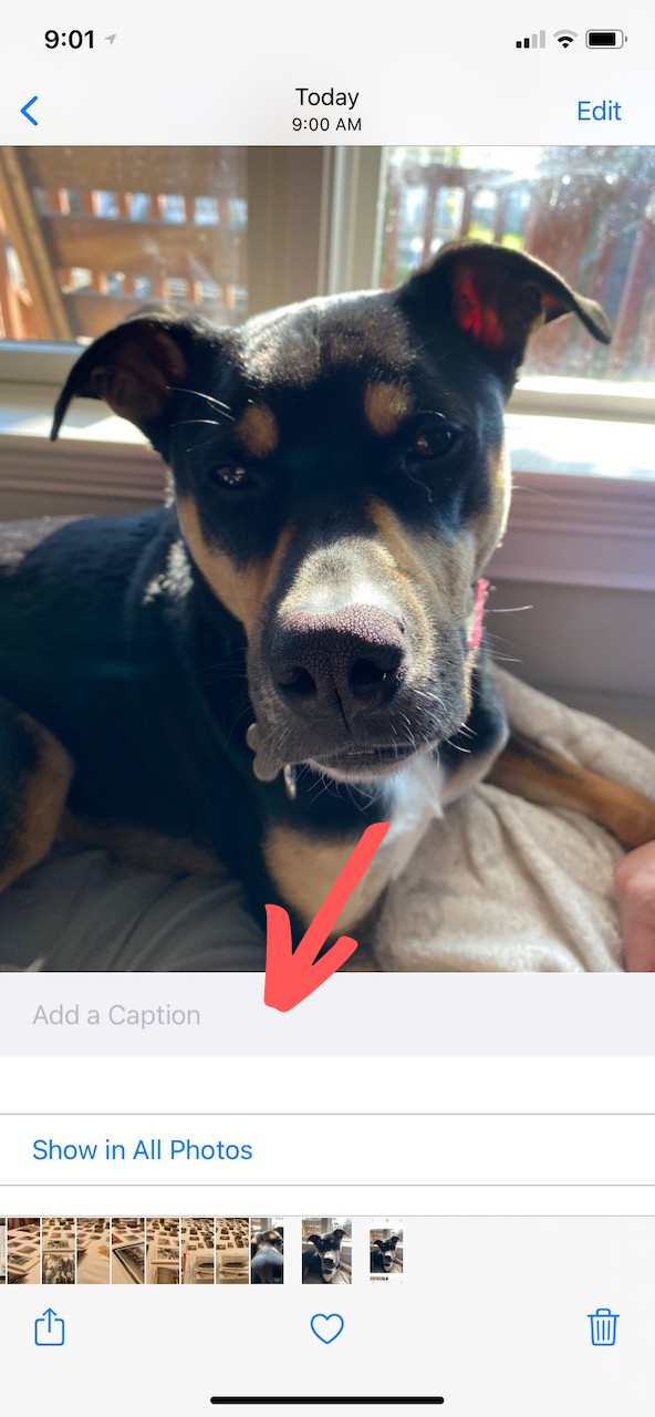 Why I love keywording my photos and why you should too — Arrange Wander ...