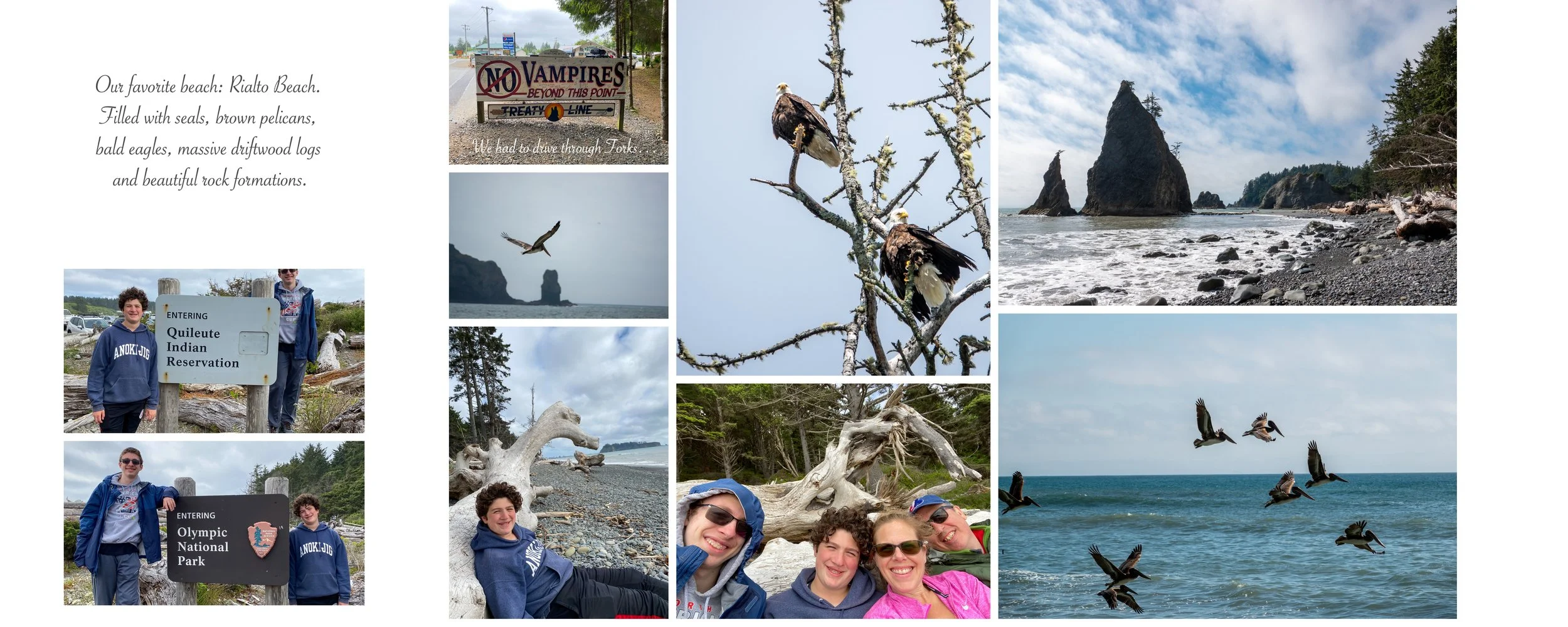 Three ways to share a photo collection — Arrange Wander Focus