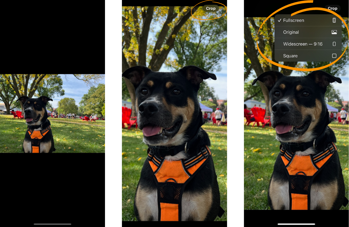 What’s new in iOS 17 for camera and photos? — Arrange Wander Focus