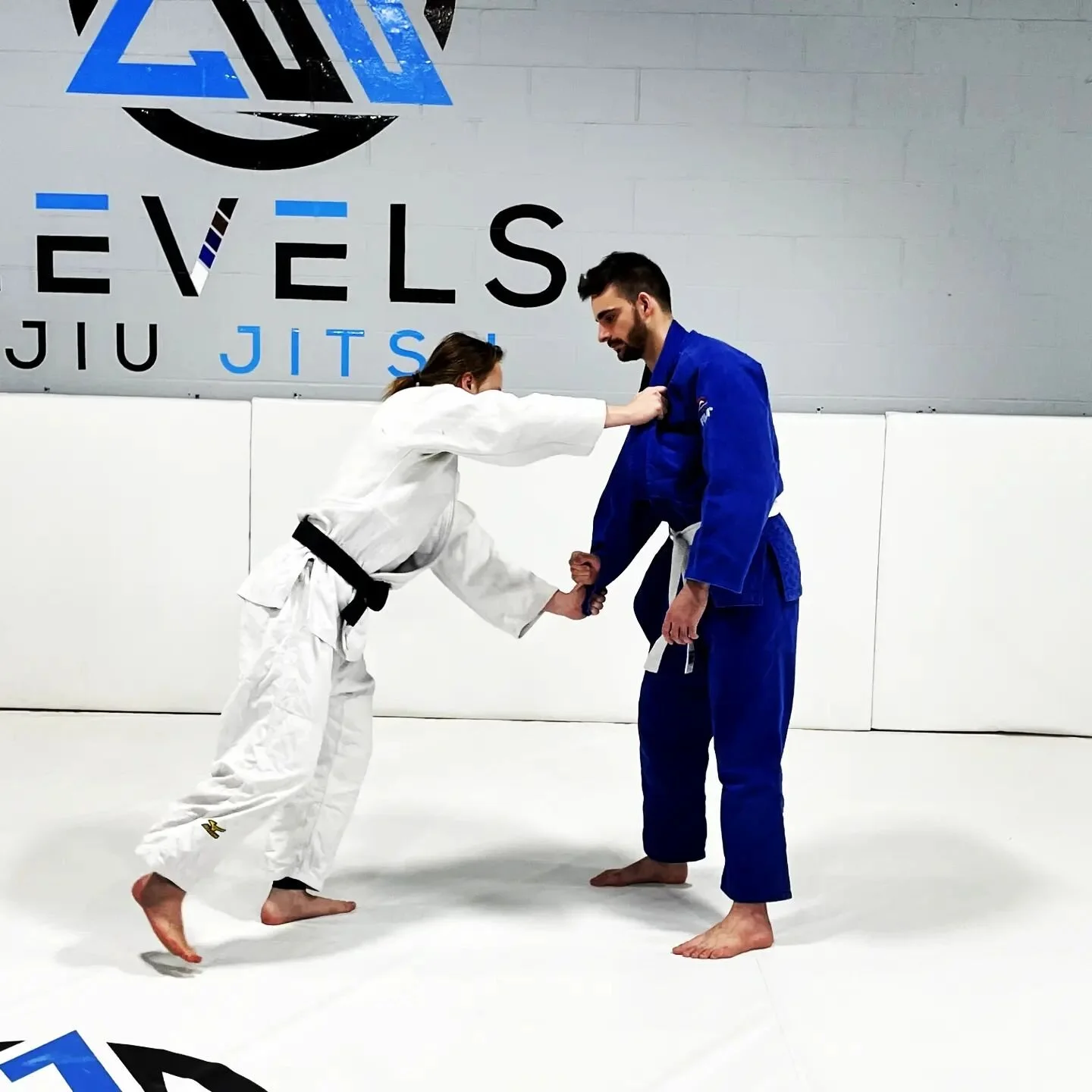 Levels Jiu Jitsu