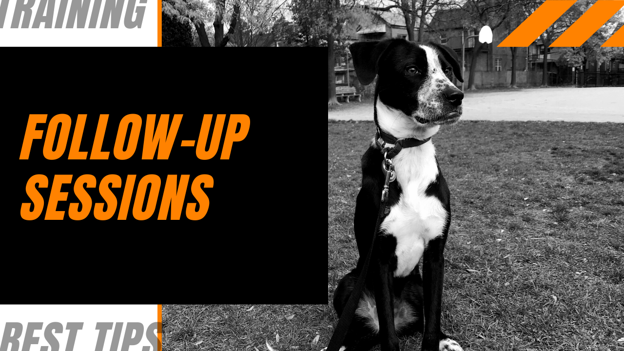 Follow-Up Sessions — Group Training