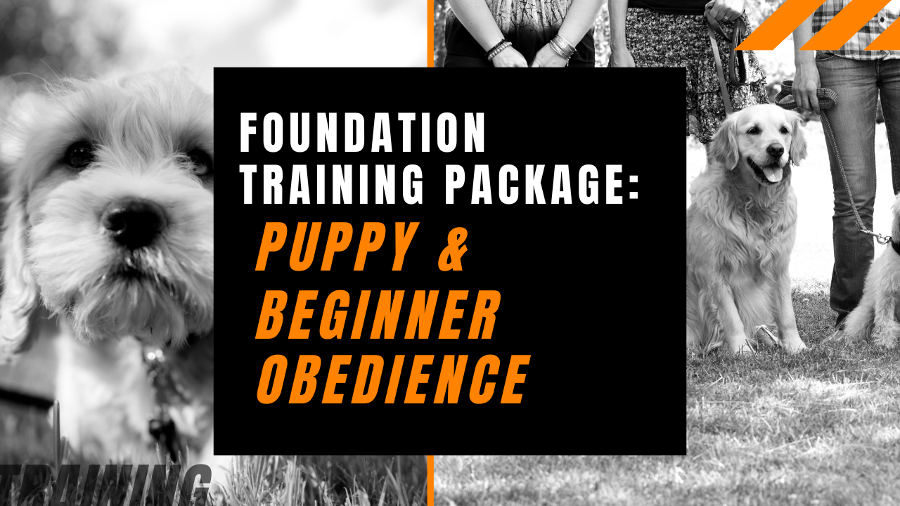 Foundation Training Package — Group Training