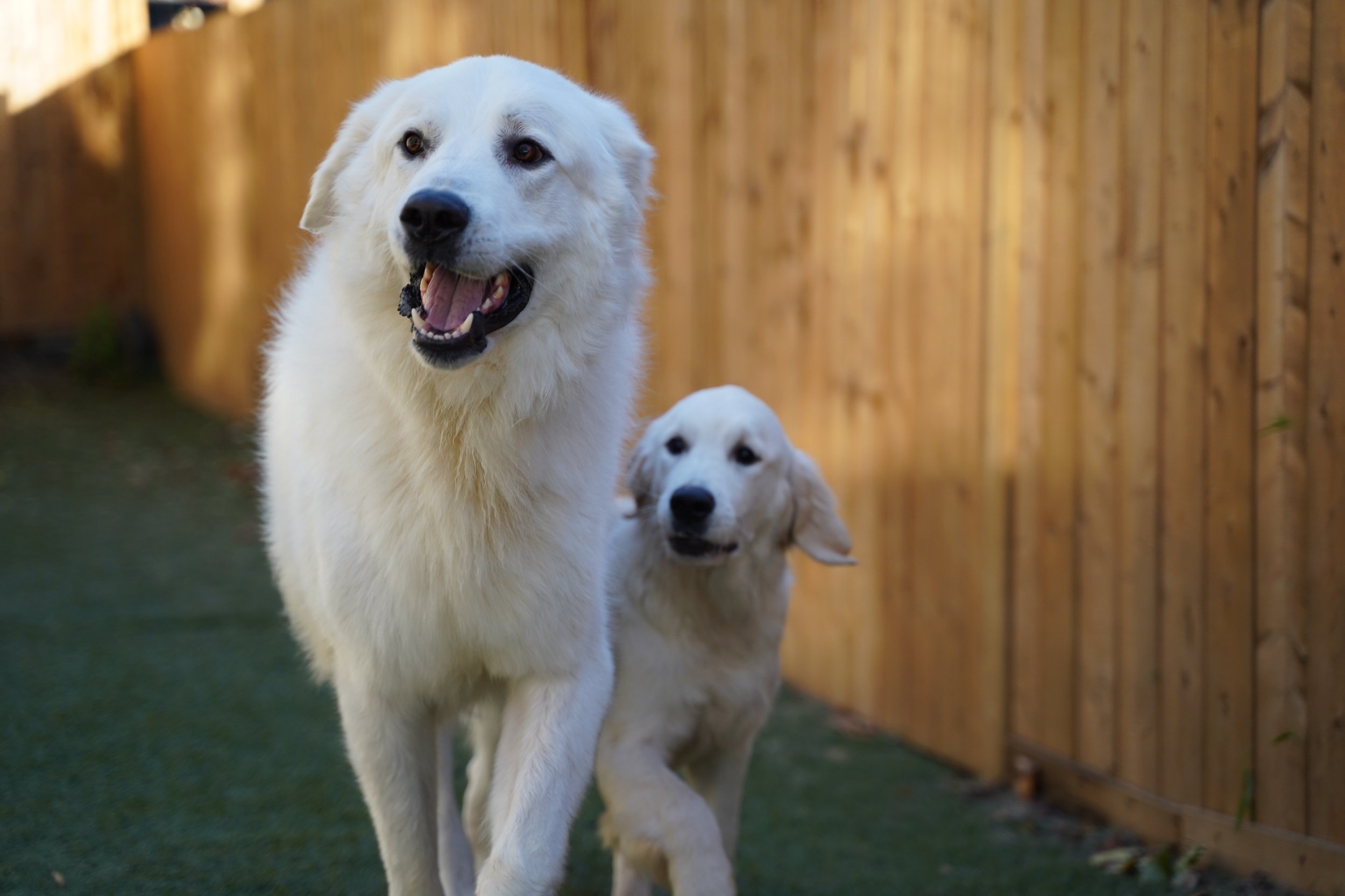 About Us — Group Training