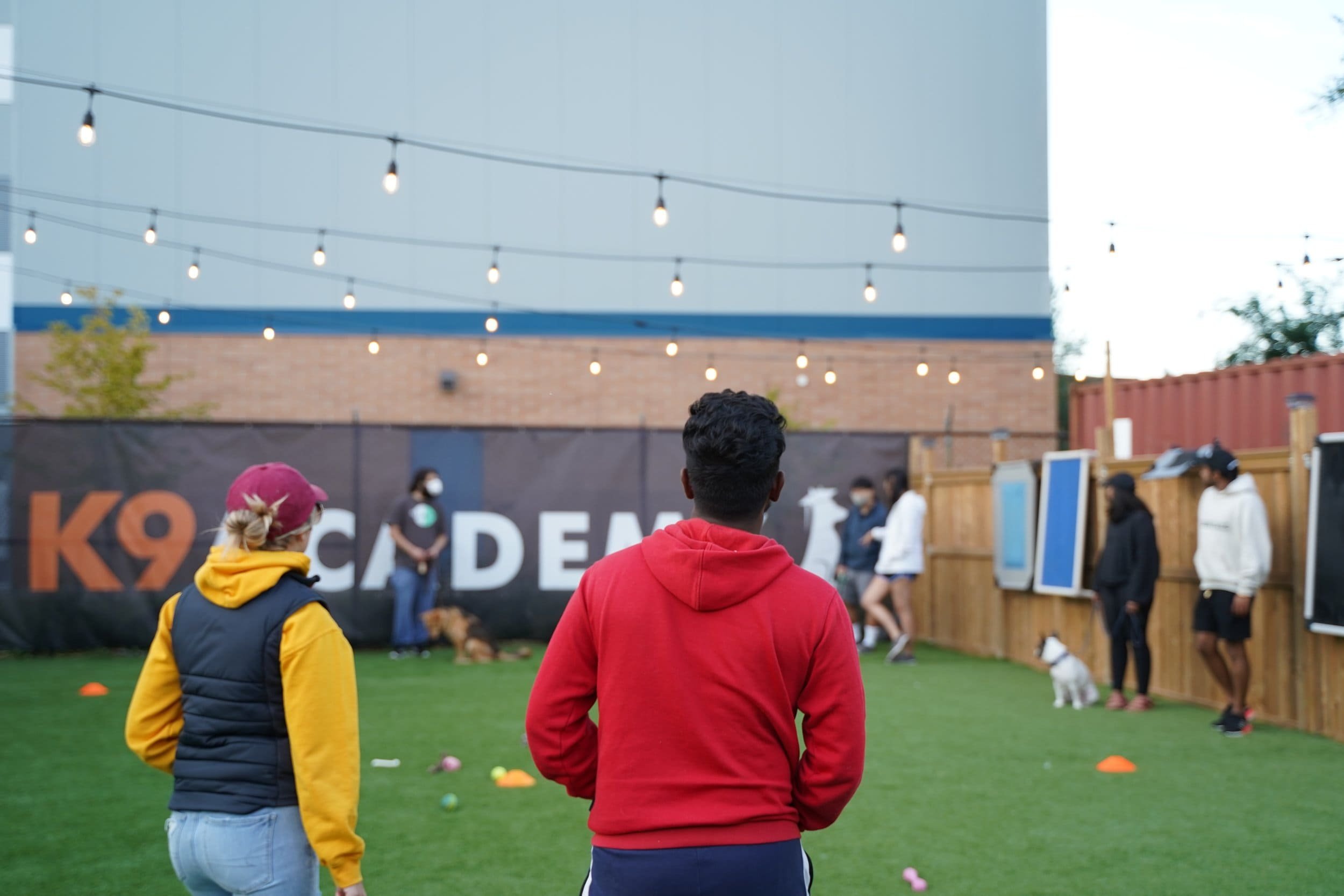 K9 Academy - Professional Dog Training Services