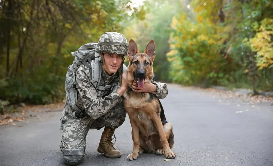 Canine Handler Roles in Law Enforcement and Beyond — Group Training