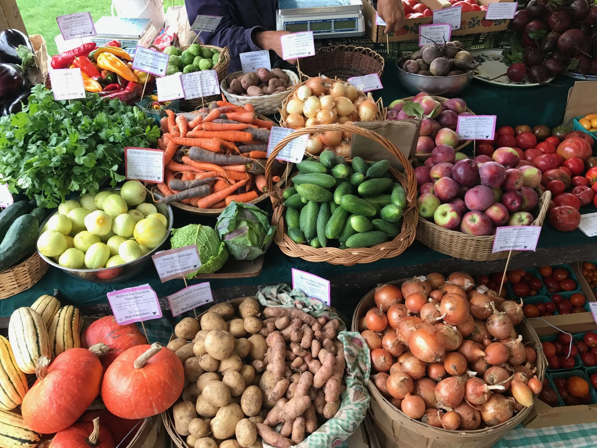 Vashon Island Growers Association
