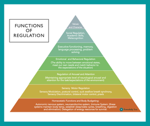 Self-Regulation Education: What works? — Powerfully You