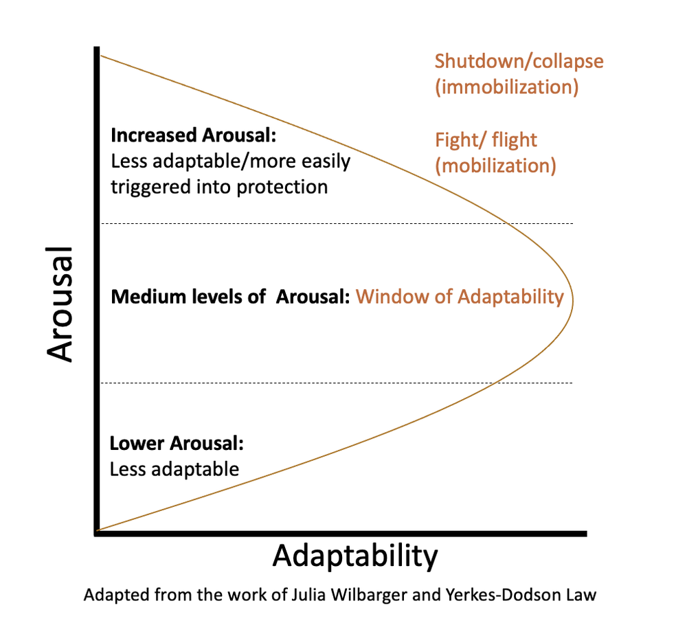 How can we use concepts of felt safety to increase emotional ...