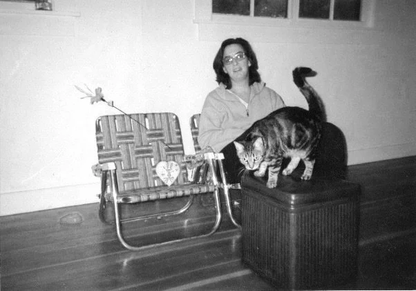 Heather Lewis — Semiotext(e)