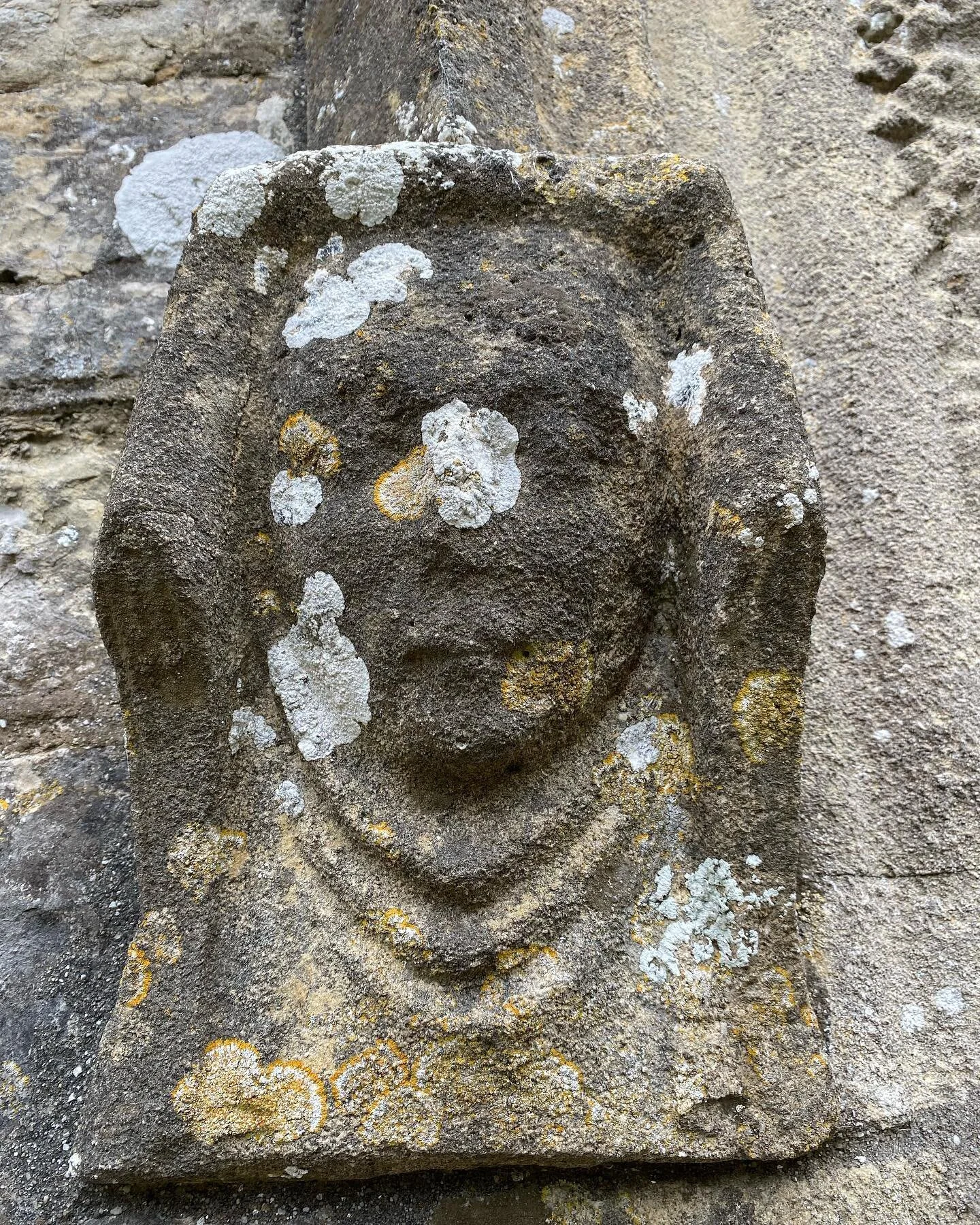 Natural Cheese Done Right, In Vermont