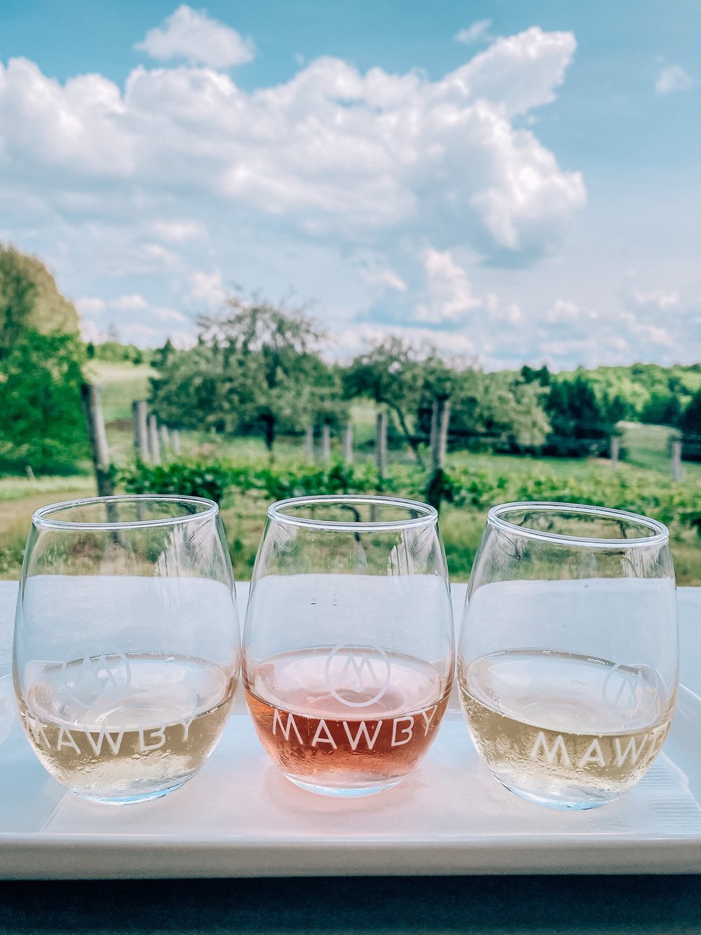 Guide to Michigan’s Wine Scene — The Wine CEO