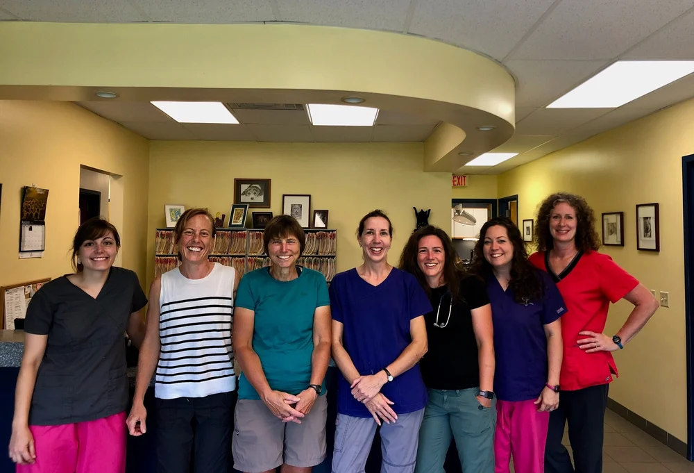 General 1 — A Breed Apart Animal Hospital