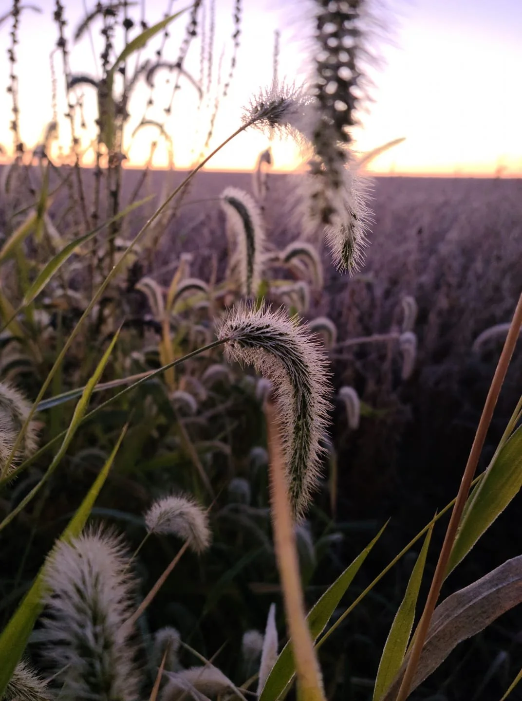 Visit MerCo - Visit Mercer County, IL