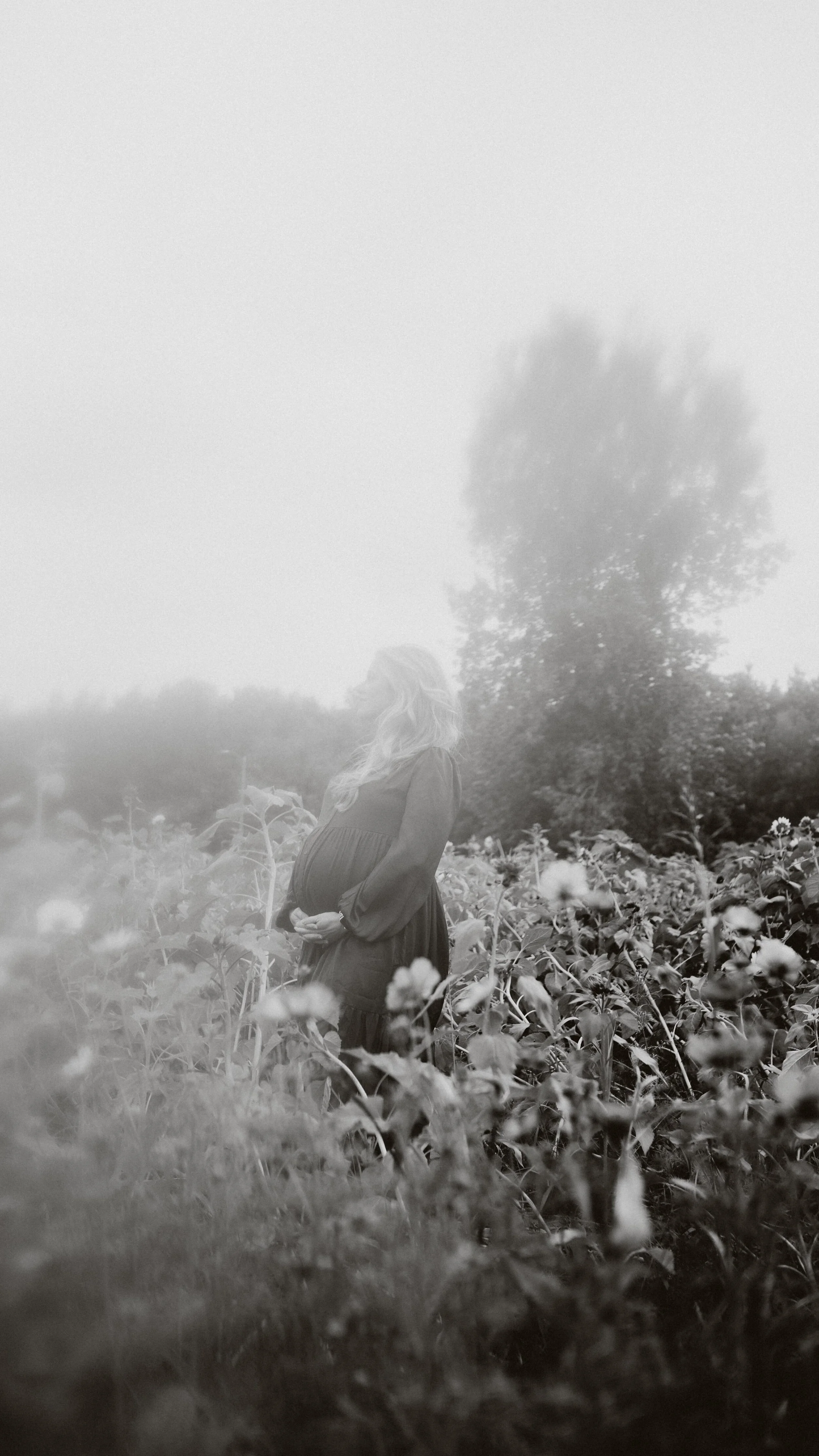 left shot Photography