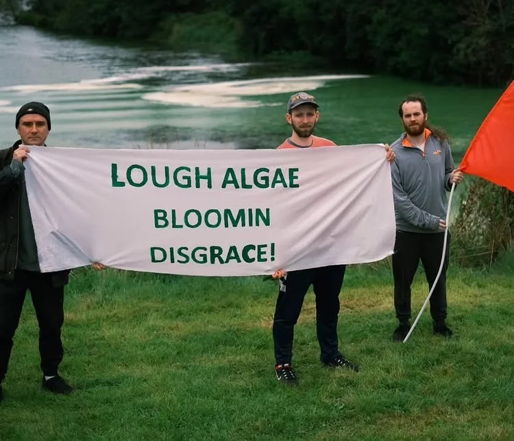 The Save Lough Neagh Campaign
