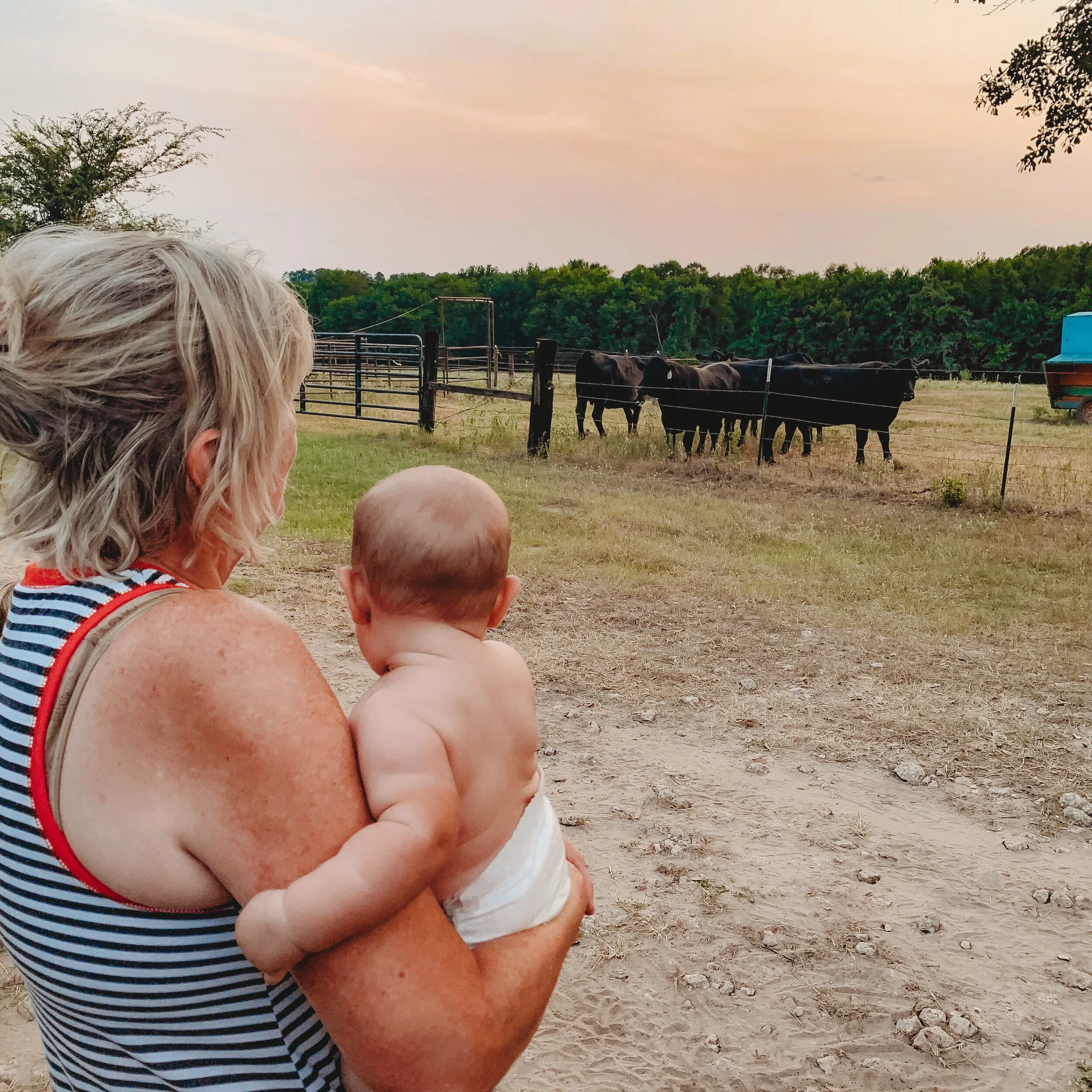 About — Burnett Beef