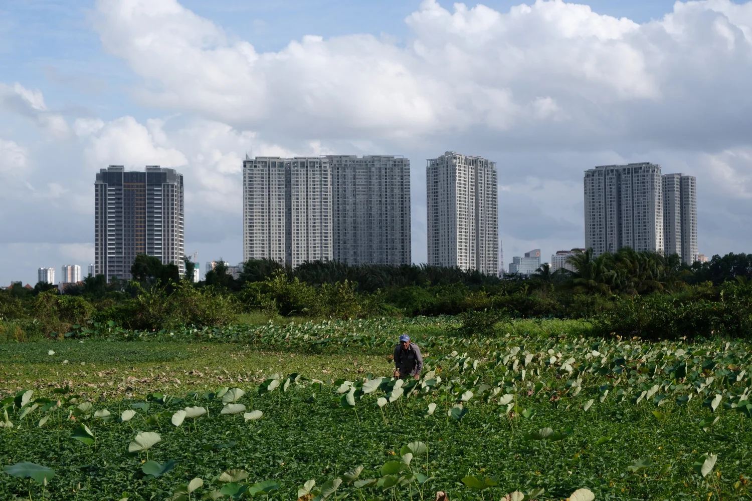 Saigon Photography Tours