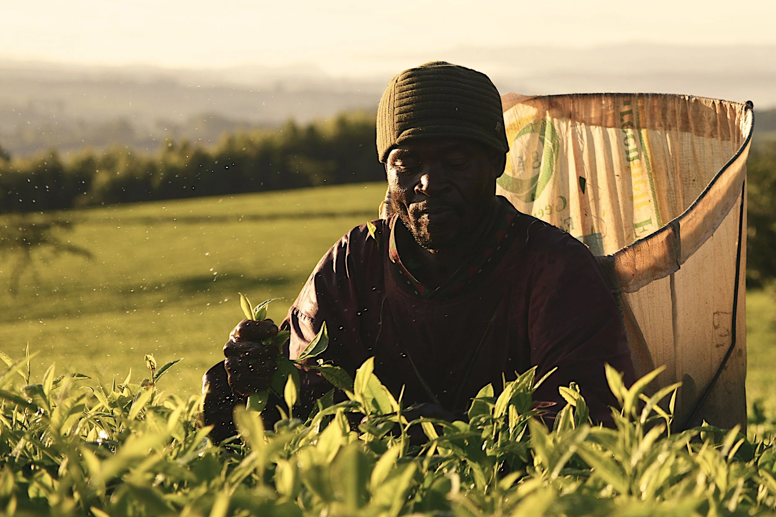 Orbis Expeditions- Travel to Malawi