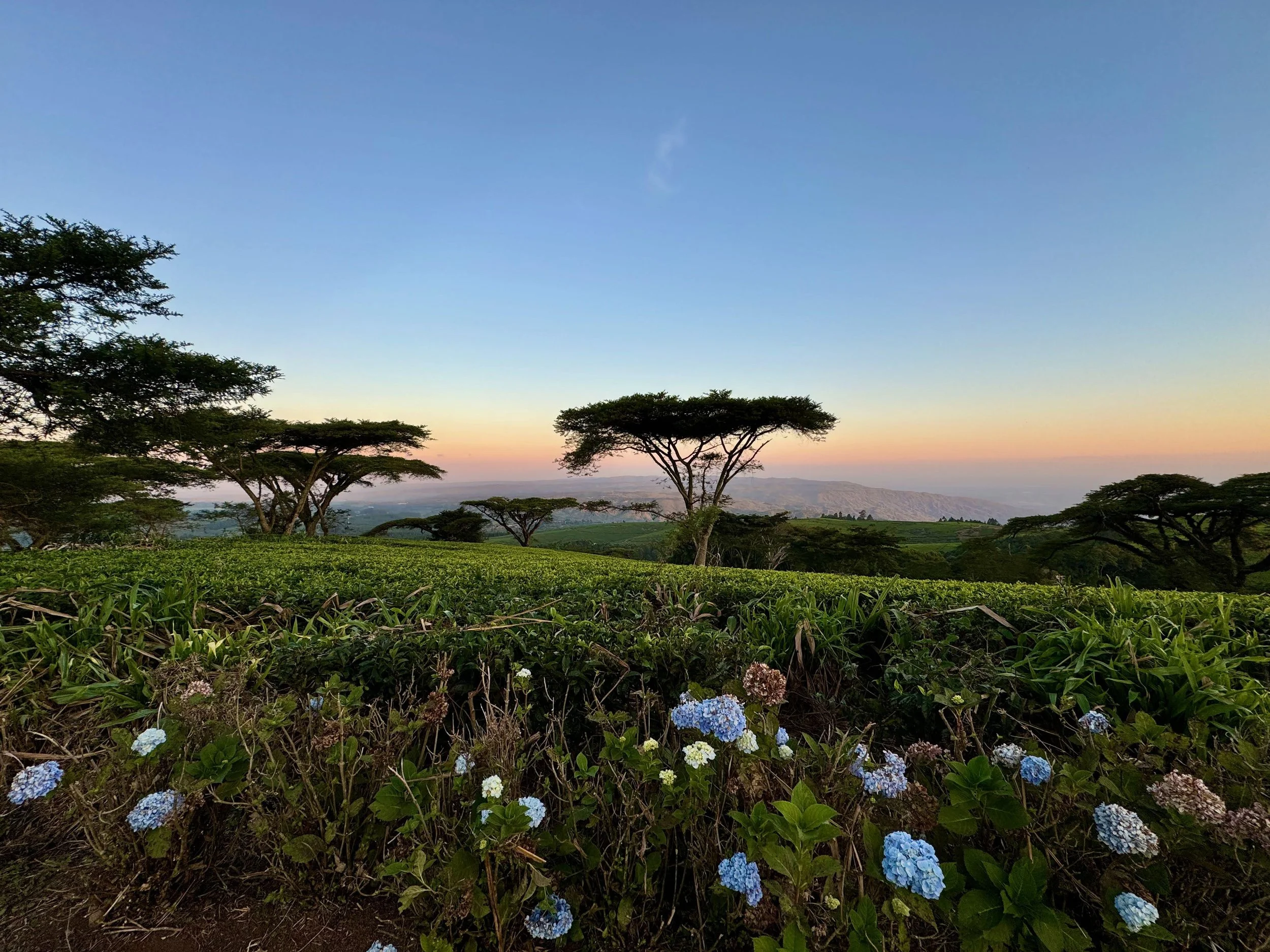 Women's Partnership Challenge — Orbis Expeditions