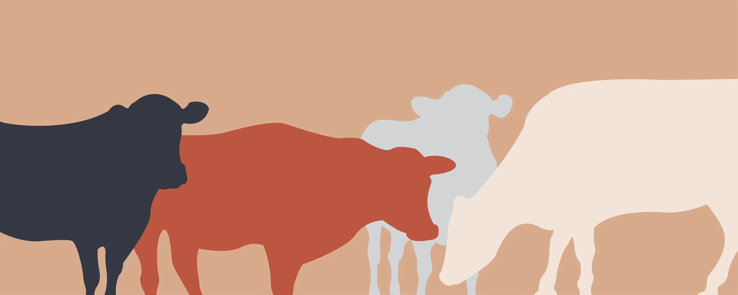 Fatcow Steak & Lobster