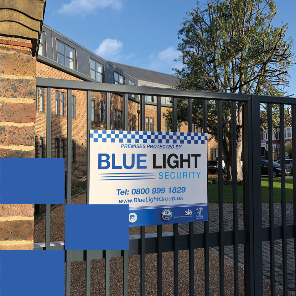 Blue Light Group