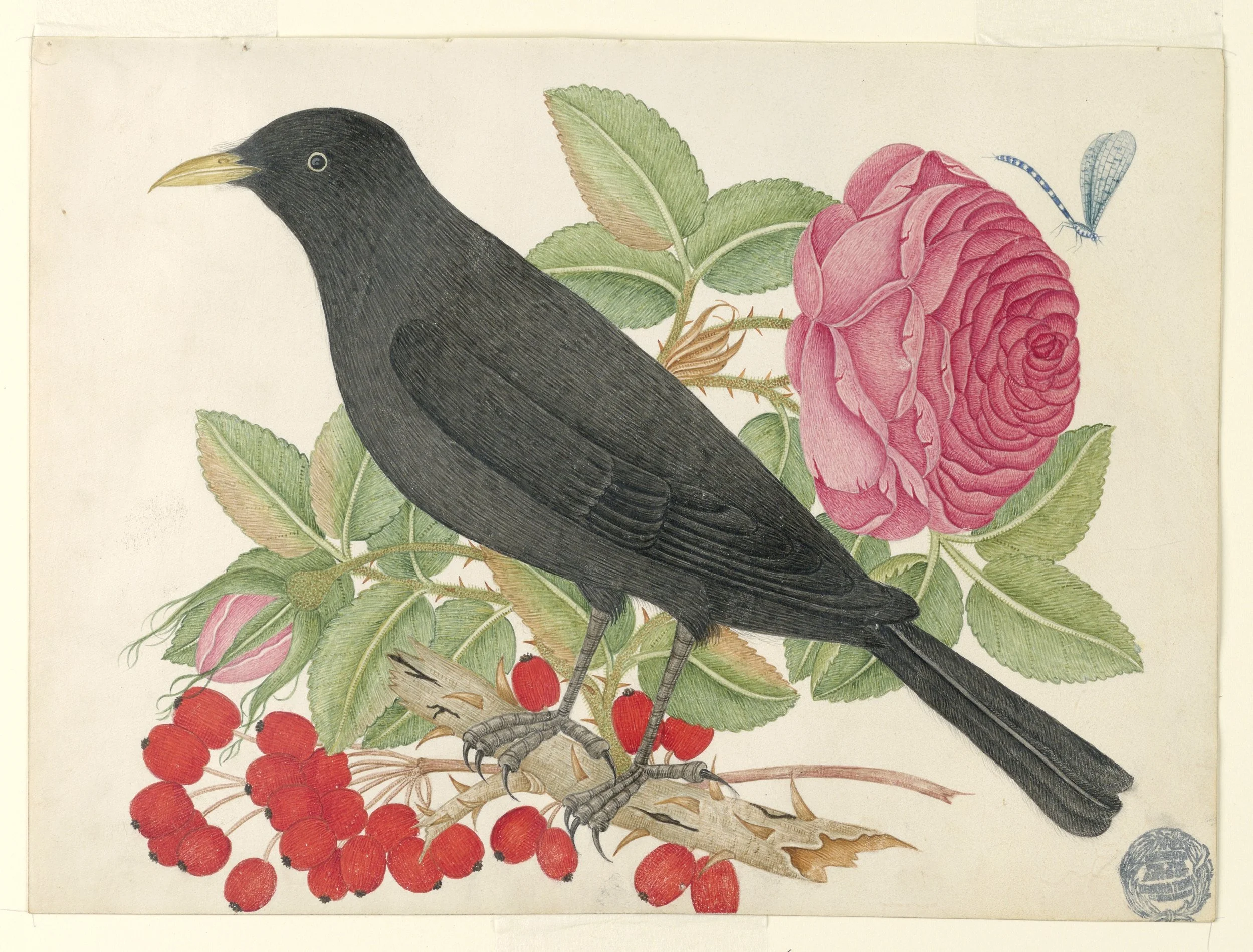 Birdsong Academy